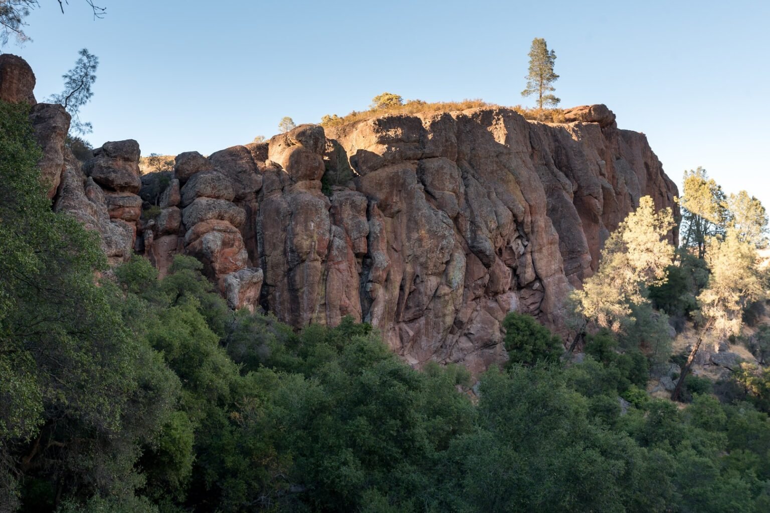 Ultimate Guide for Rock Climbing in Pinnacles National Park