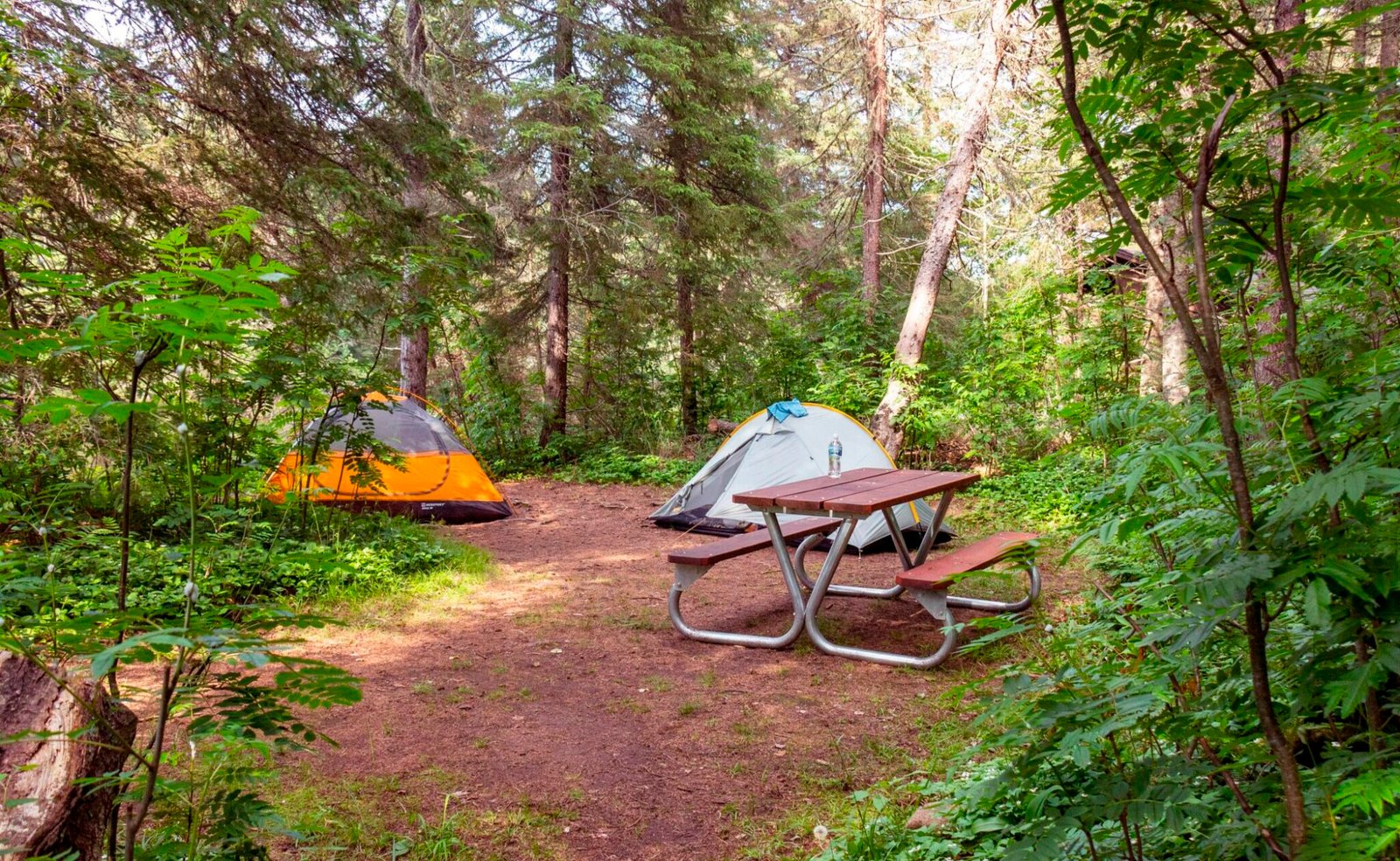 A Complete Guide to Camping on Isle Royale : Best Campgrounds ...